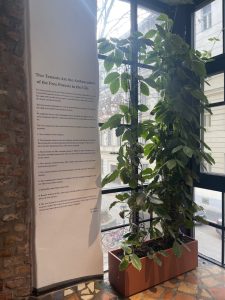 Vienna's green revolution: Inside the city's sustainability boom ...