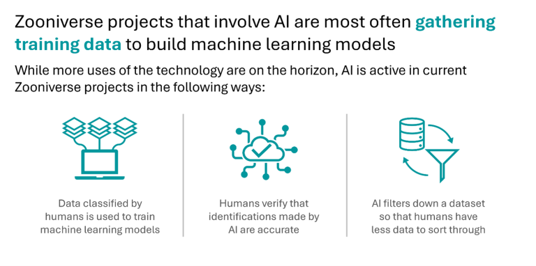 In the Zooniverse, AI can’t take the citizen out of citizen science ...