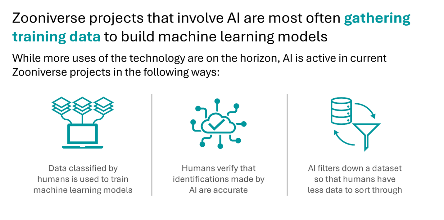 In the Zooniverse, AI can’t take the citizen out of citizen science ...