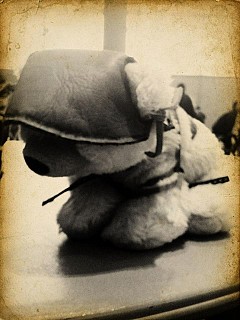 Cosplay.com - Armored Polar Bear Mount from World of Warcraft by ...