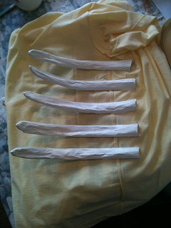 Cosplay.com - Headcrab Zombie from Half-Life 2 by jamescram