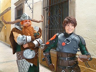 How To Train Your Dragon Stoick Costume