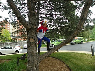 Cosplay.com - Billy Hatcher from SEGA Billy Hatcher by iCrave4cosplay