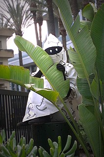 Cosplay.com - WV from Homestuck by Zekia