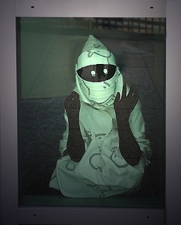 Cosplay.com - WV from Homestuck by Zekia