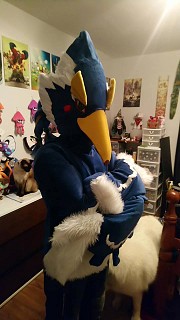 Revali - Legend of Zelda: Breath of the Wild cosplay by Angler Shark ...