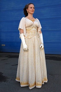 Firefly Inara Costume