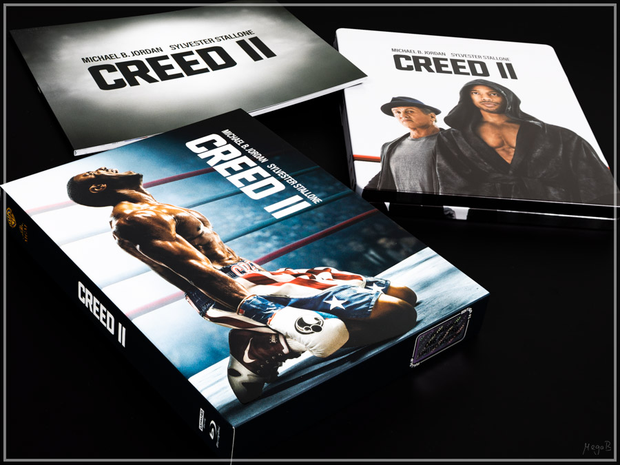Creed II (4K & 2D Blu-ray SteelBooks) (FilmArena Collection #118 ...