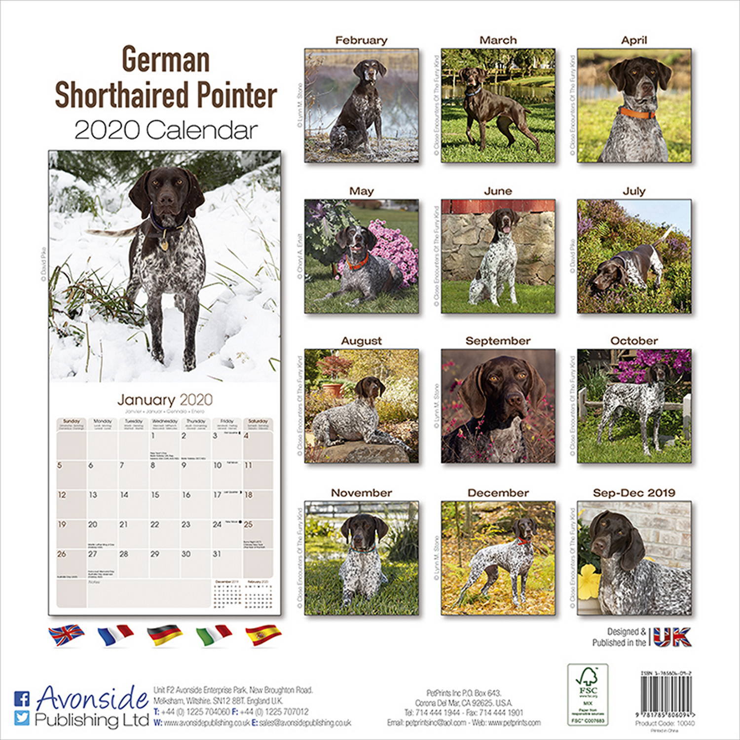 Pointer Eforta In 2020