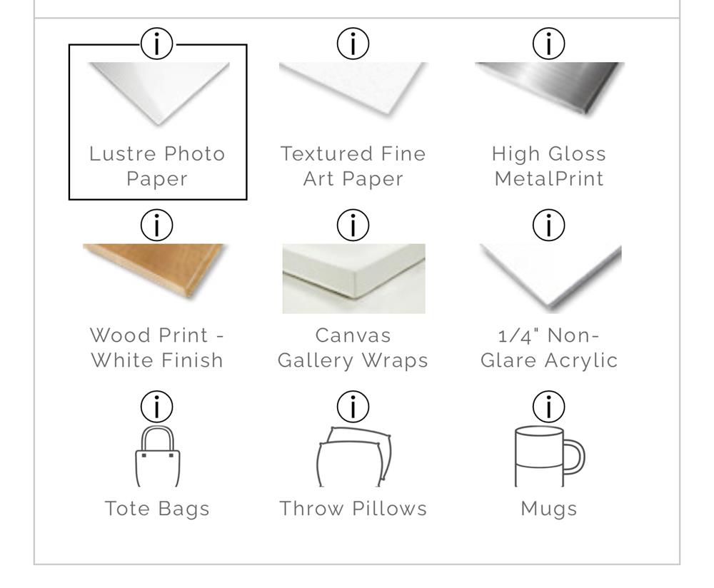 Ellen Rich Gallery of Original Fine Art