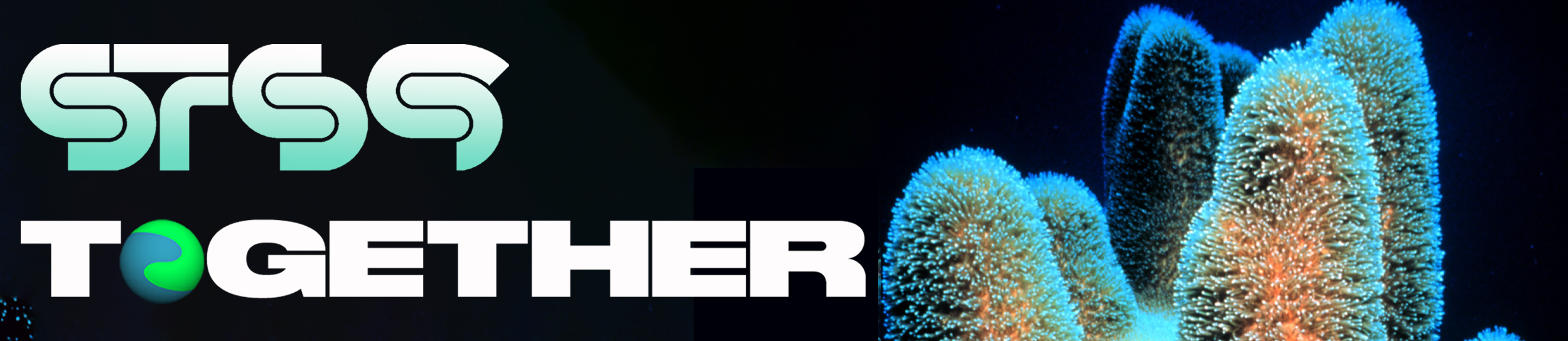 STS9 | Online Store, Apparel, Merchandise & More