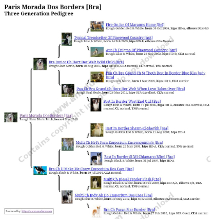 LOTE 02 - ARIEL MORADA DOS BORDERS