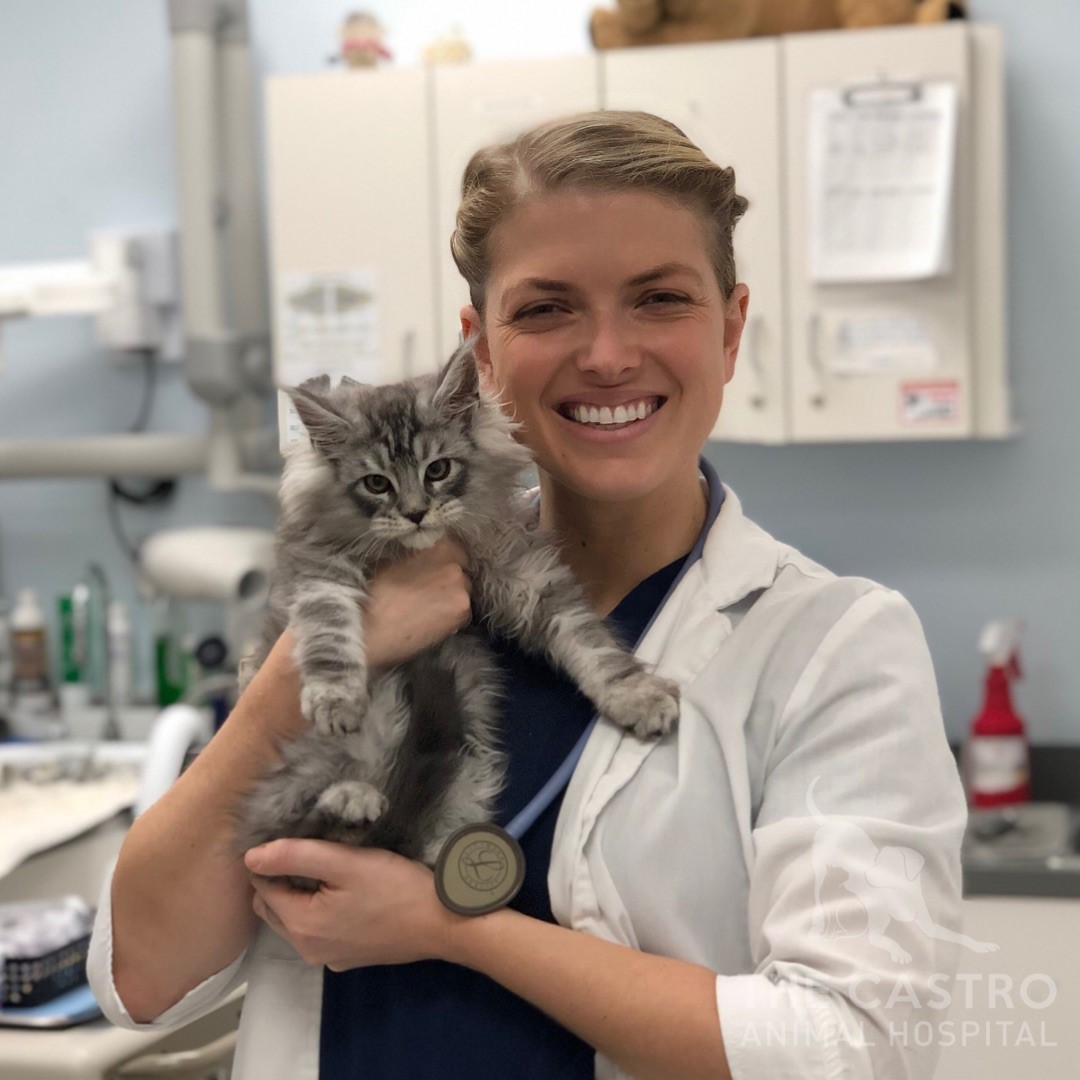 Alumnae Spotlight: Dr Sarah Inman (2005) | Melbourne Girls Grammar