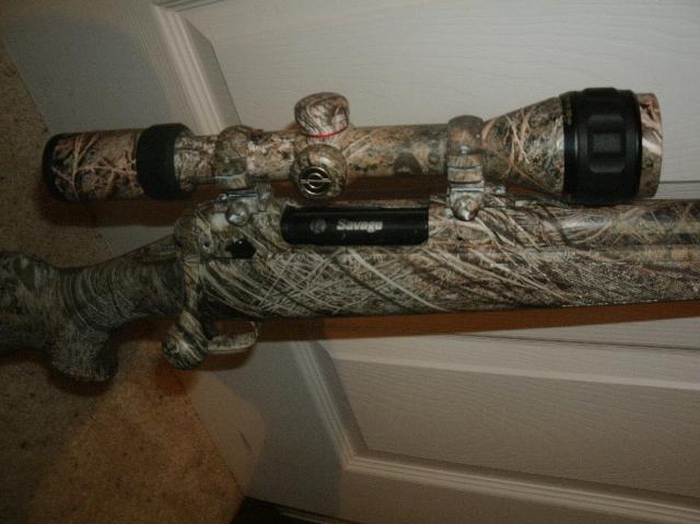 ARMSLIST - savage model 10 predator 22-250