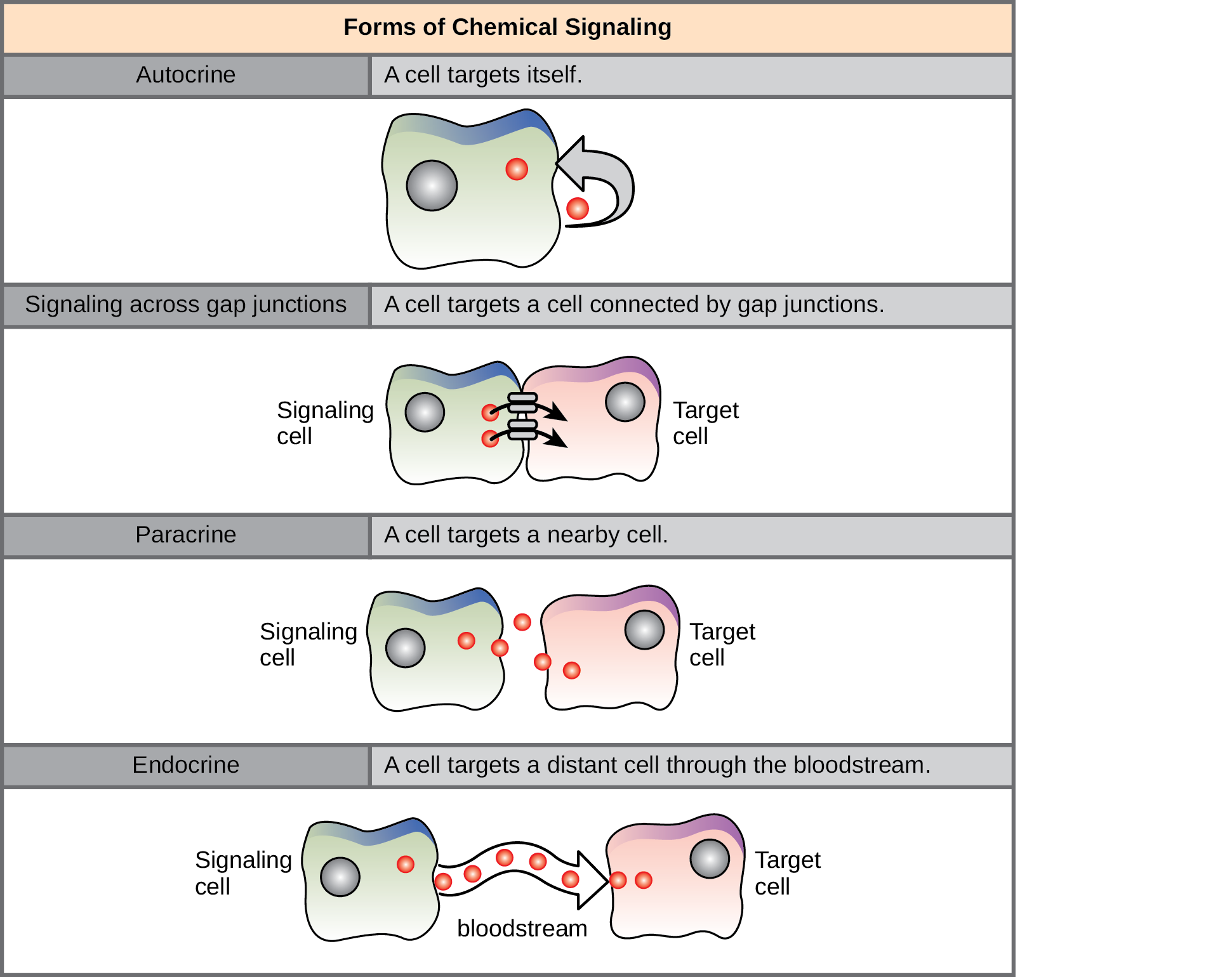 Biology 2e The Cell Cell Communication Signaling Molecules And