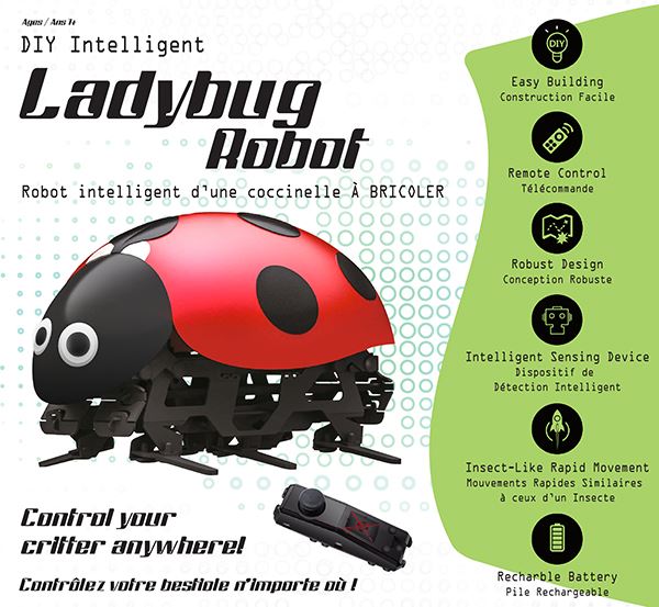 DIY Ladybug Robot | Mind Games Canada