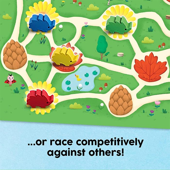 Hedgehog Roll | Mind Games Canada