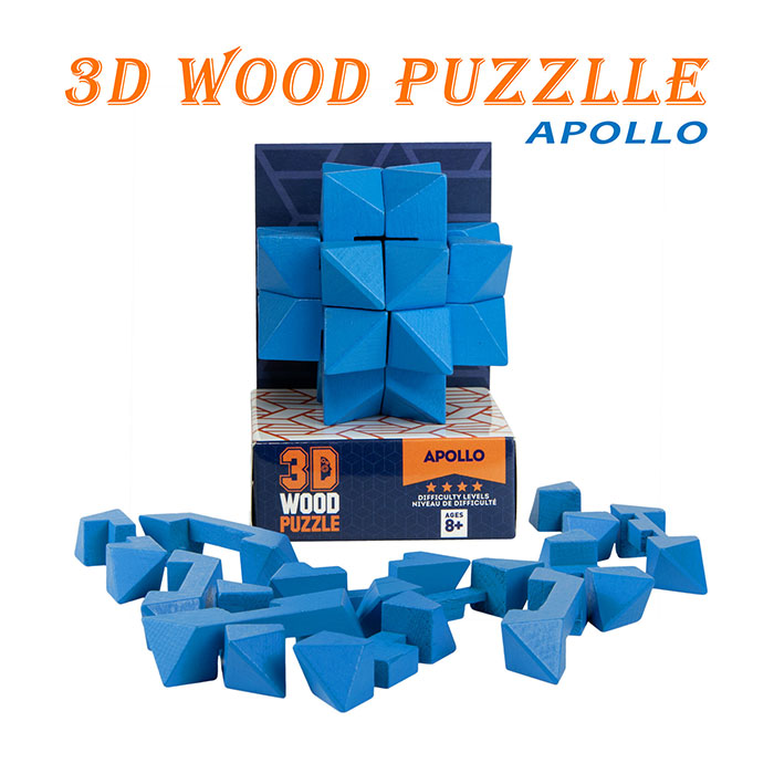 3D Luban Puzzle Assorted | Mind Games Canada