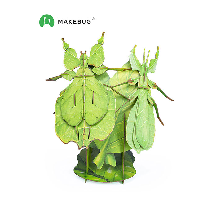 3D Puzzle Leaf Insect - 35 Pieces | Mind Games Canada