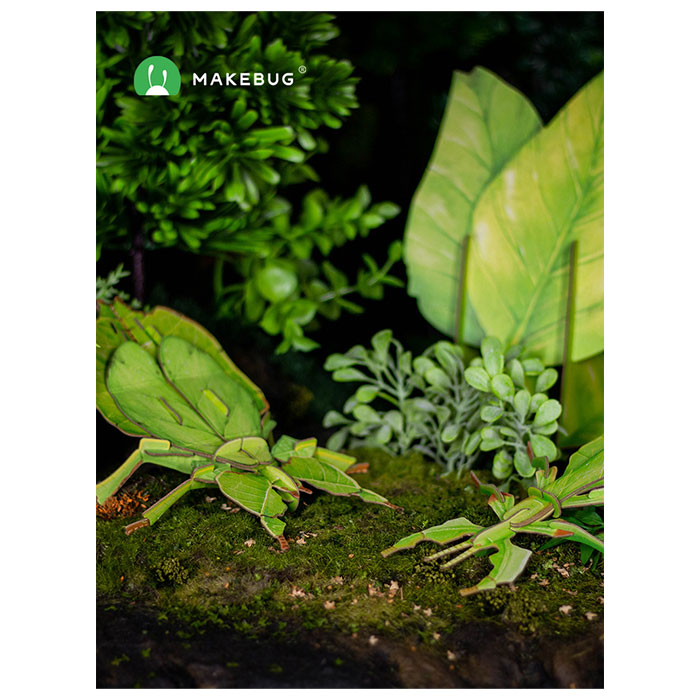 3D Puzzle Leaf Insect - 35 Pieces | Mind Games Canada
