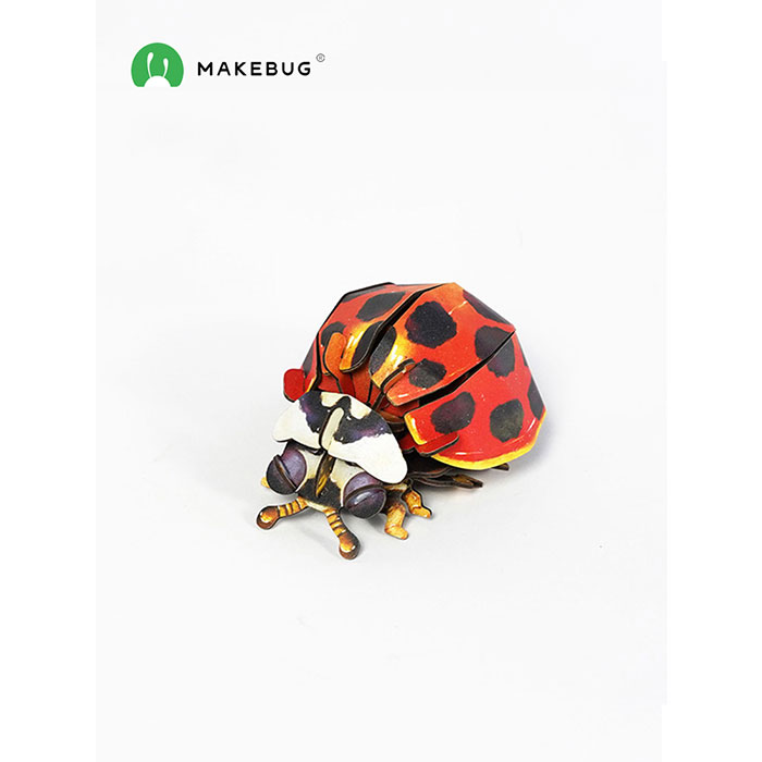 3D Puzzle Asian Ladybug - 31 Pieces | Mind Games Canada