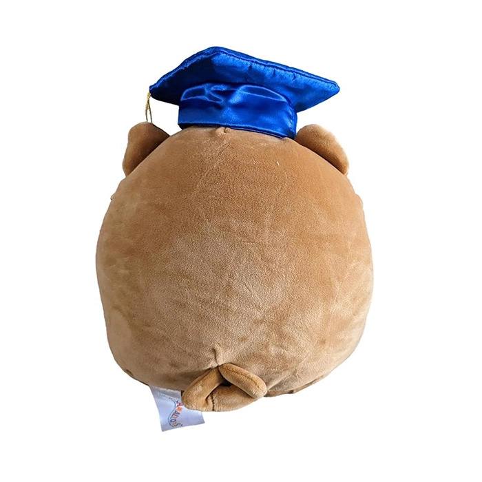 Plush Squishmallow Graduation 8 Inch (Random Pick) | Mind Games Canada