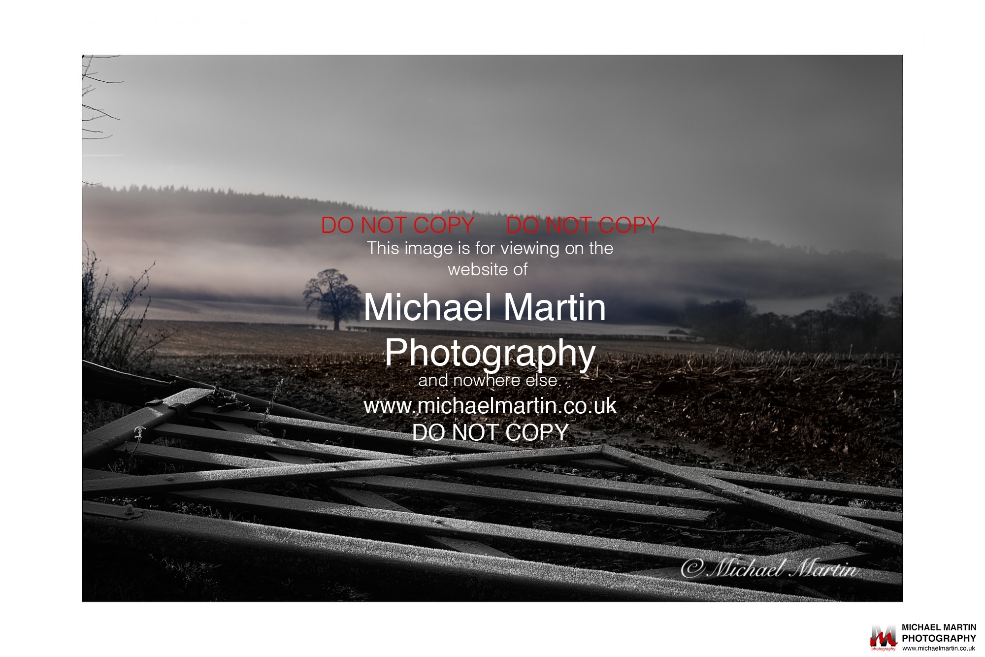 Michael Martin Photography | Collections | Michael Martin Photography