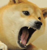 Le Doge Face