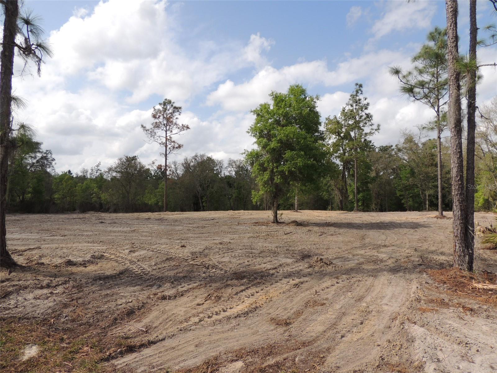 Tbd Ne 81st Street Bronson, Florida, United States – Home For Sale