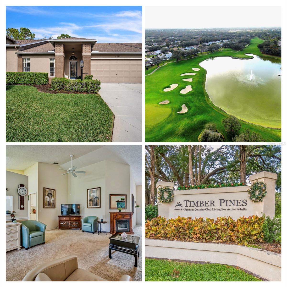 8015 Willow Brook Drive, Spring Hill, FL 34606