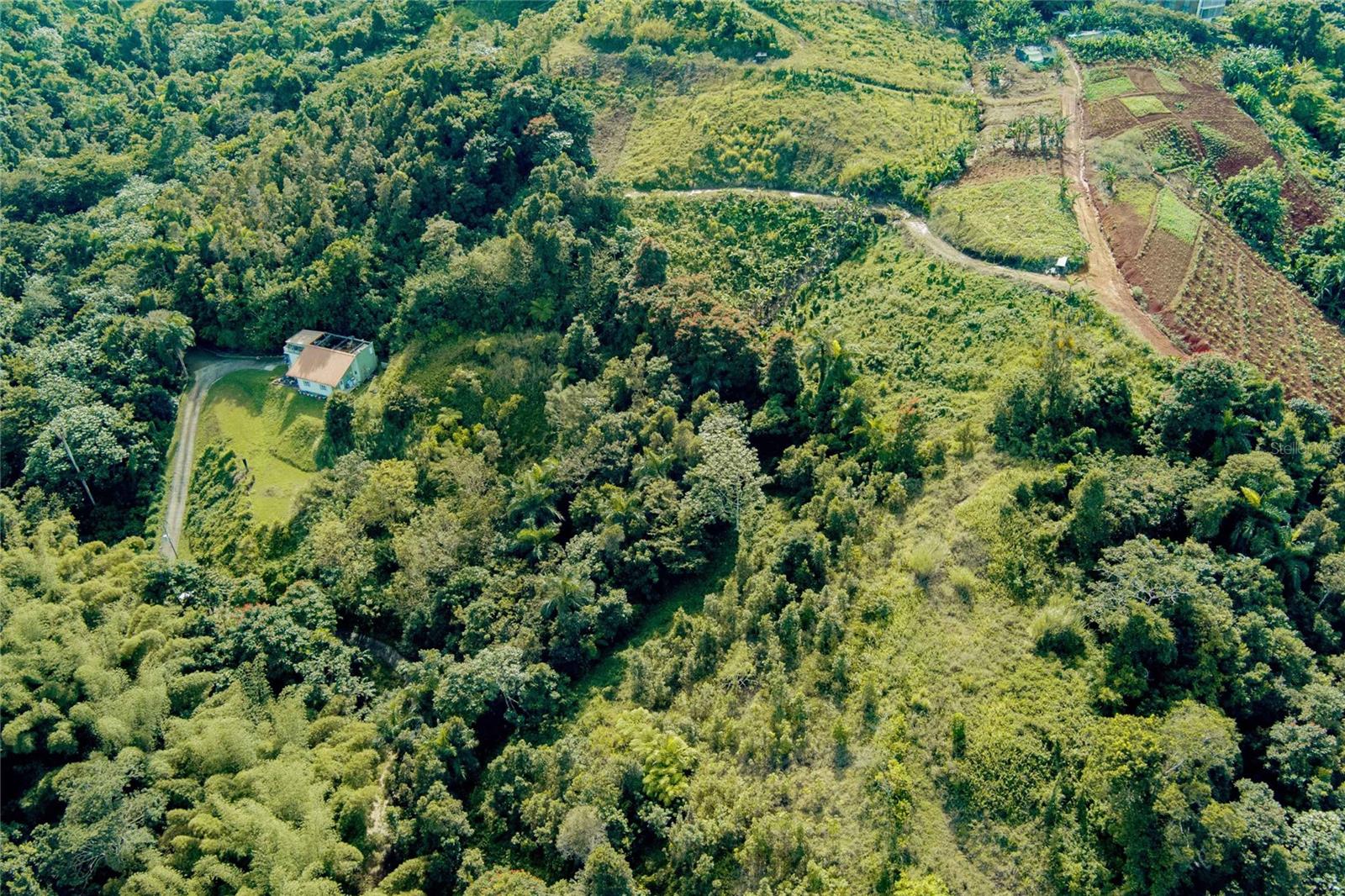 KM6.2 INT Sumidero Ward, Pr 172 For Sale, AGUAS BUENAS, PR 00703 Land | ByOwner