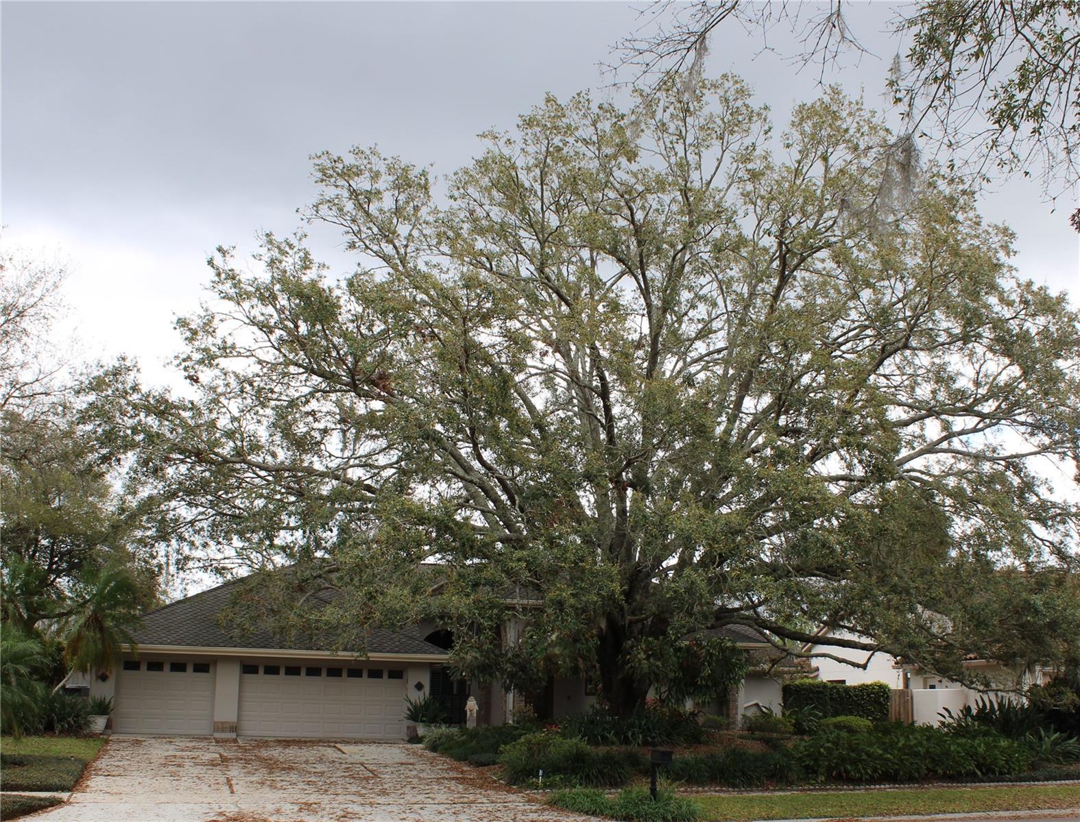 16209 Belle Meade Boulevard For Sale, ODESSA, FL 33556 Home | ByOwner