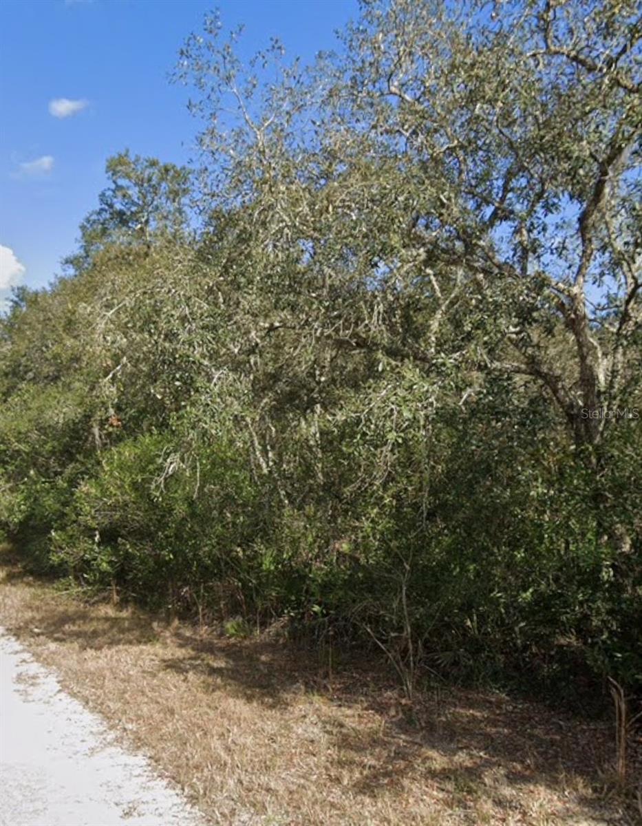 00 Little Stone Drive For Sale, WEBSTER, FL 33597 Land | ByOwner