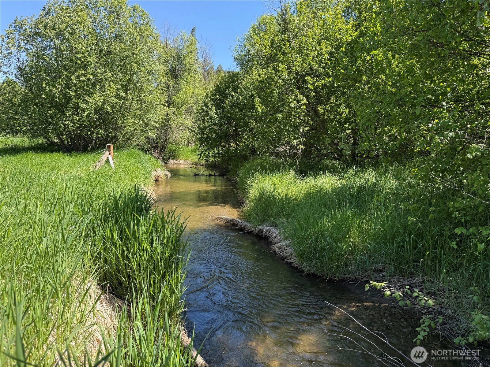 333 Toroda Creek Road For Sale, Curlew, WA 99118 Land | ByOwner