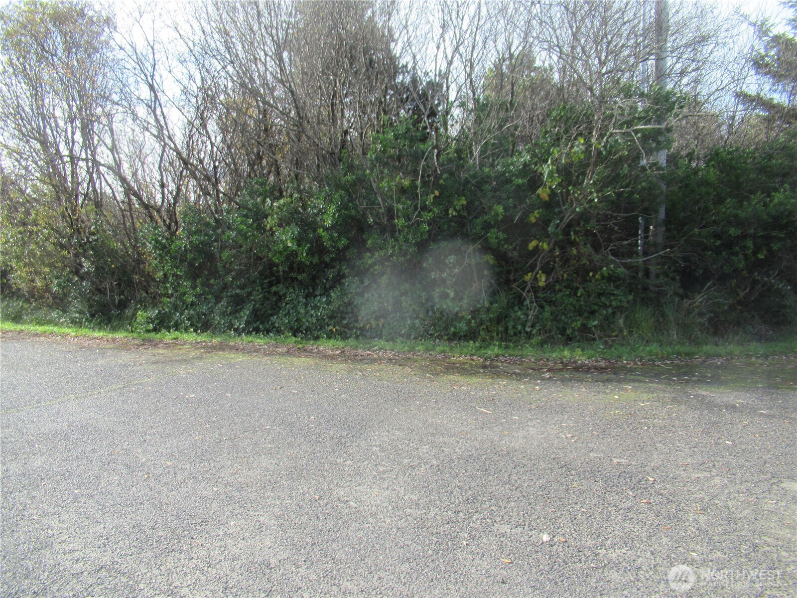 Driftwood Dr Drive For Sale, Ocean Shores, WA 98569 Land | ByOwner