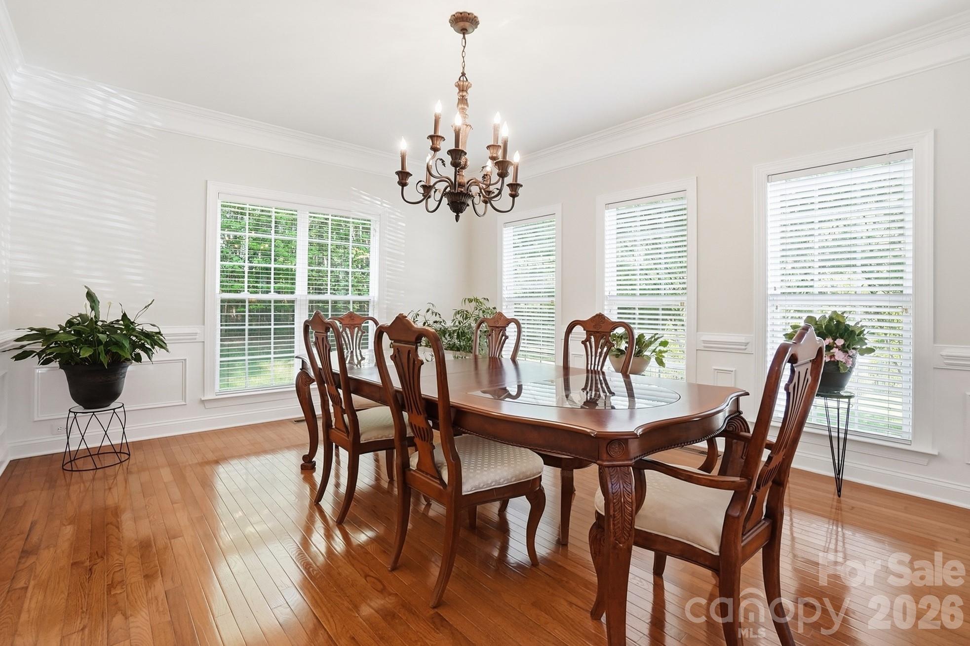 807 Crown Vista Court, Wesley Chapel, NC - photo 13 of 44