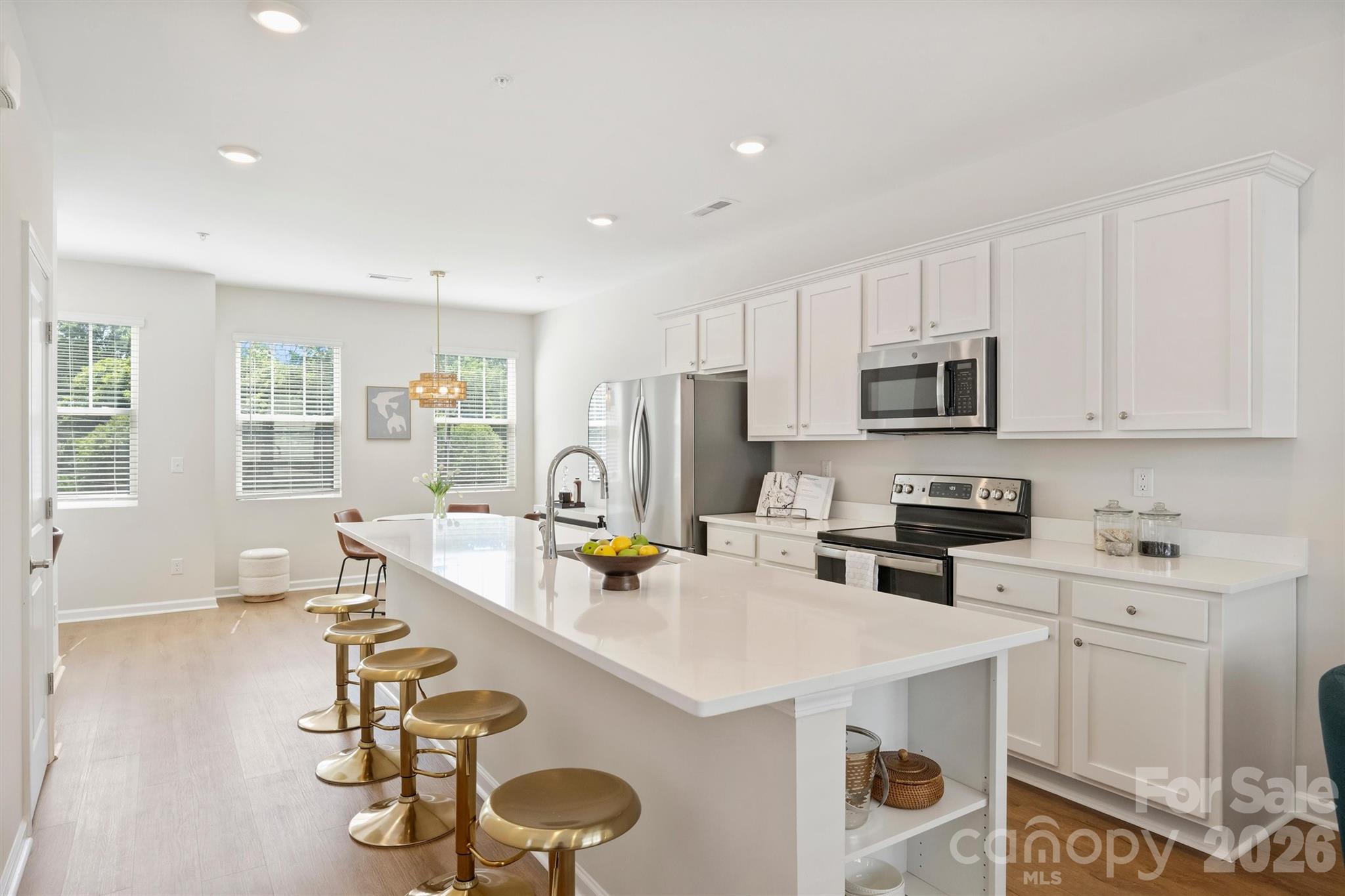 2405 Via del Conte Alley, Charlotte, NC - photo 8 of 21