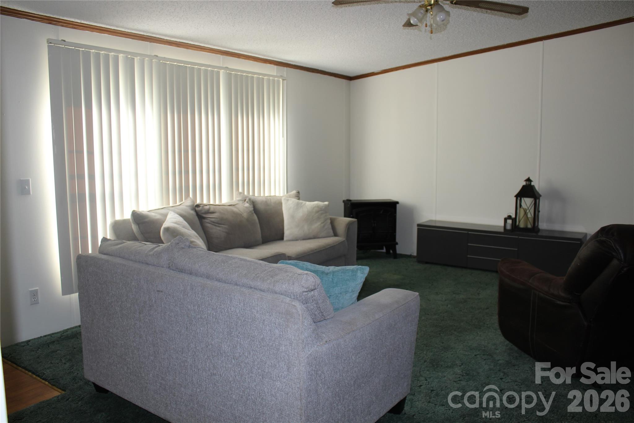 249 J L Green Lane, Pageland, SC - photo 21 of 35