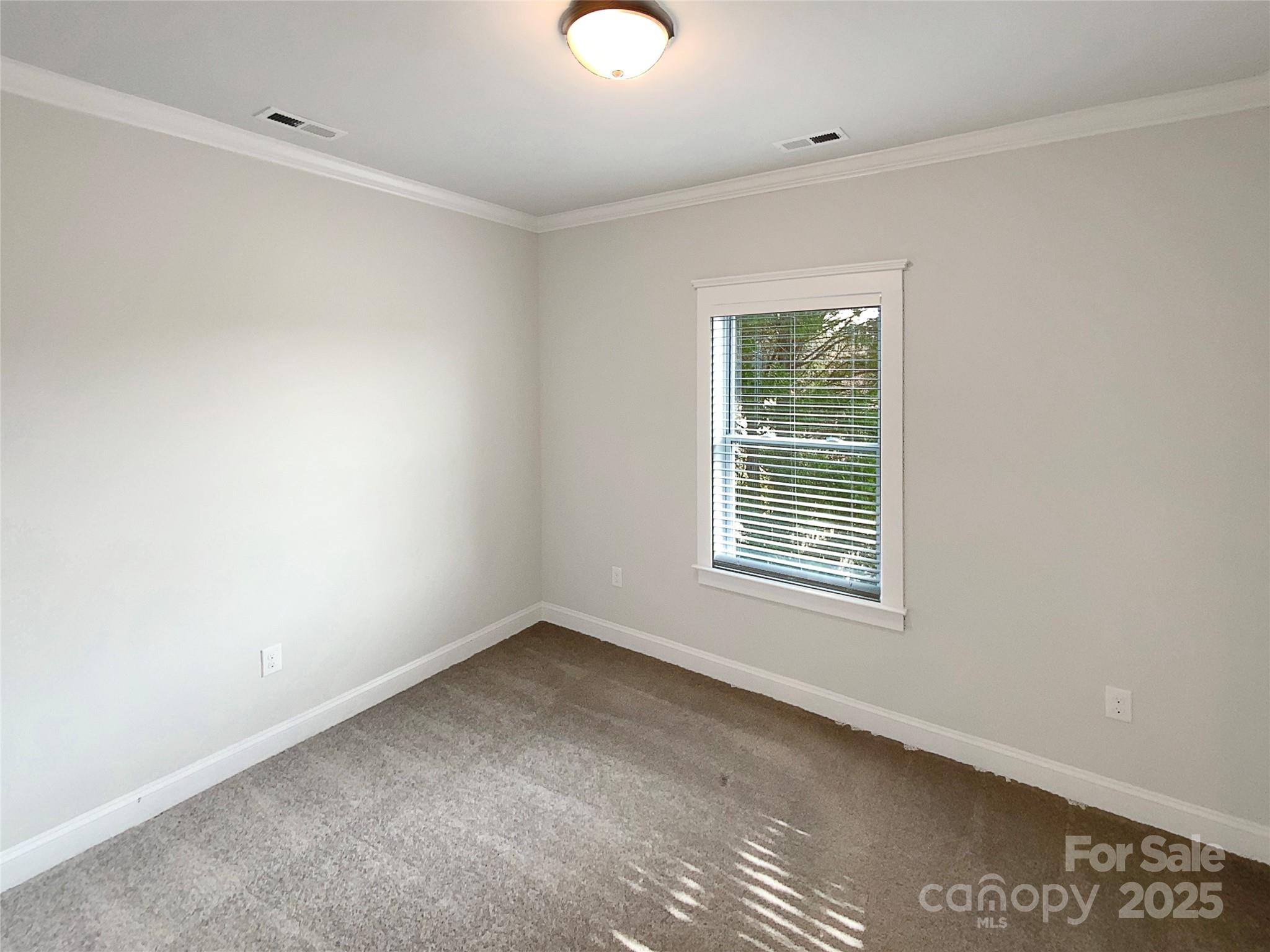 Photo 10 of 11005 Cobb Creek Court, Charlotte, NC