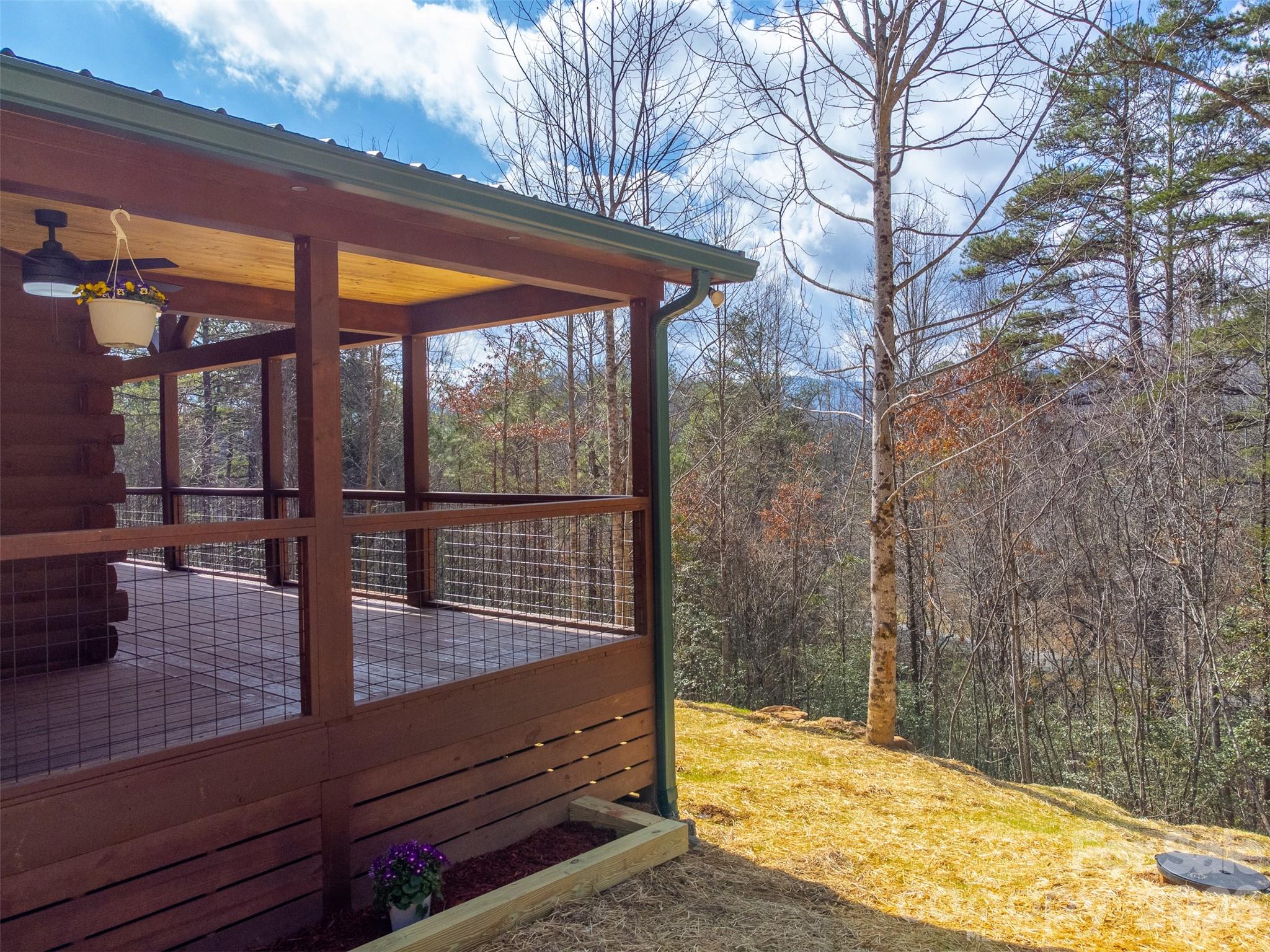 677 Ridgetop Circle, Whittier, NC - photo 36 of 49