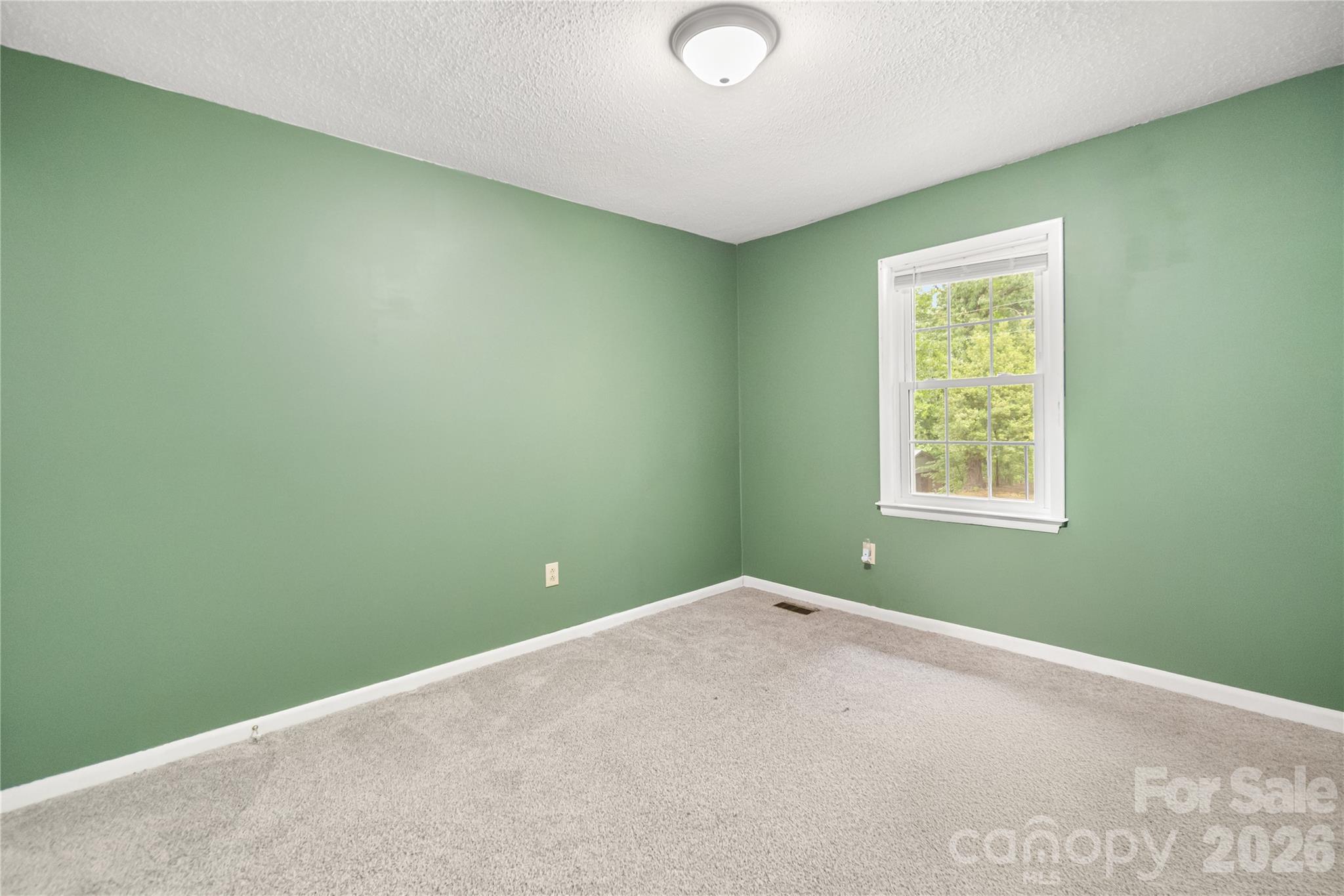 1141 Shannon Drive, Wadesboro, NC - photo 20 of 26