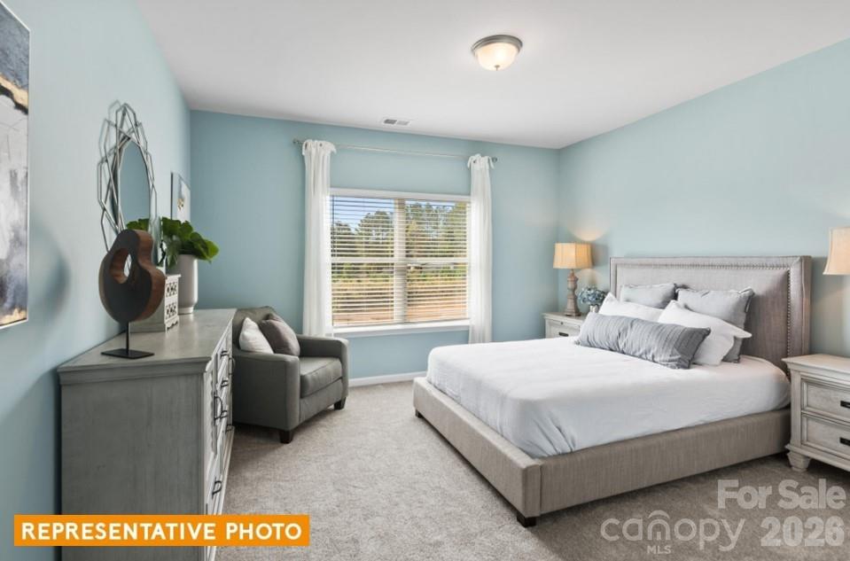 4239 Ruth Creek Court, Charlotte, NC - photo 20 of 25