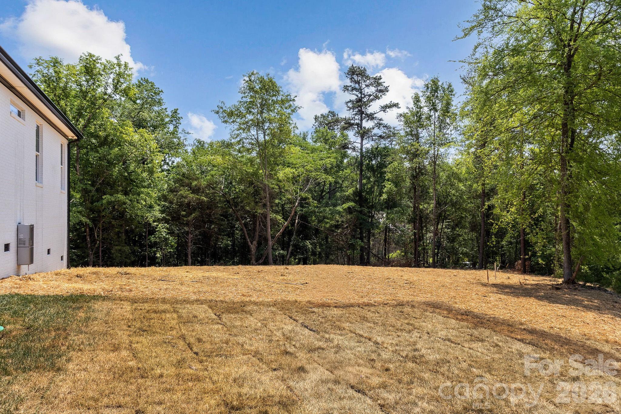 436 Riddle Mill Road, Clover, SC - photo 43 of 48