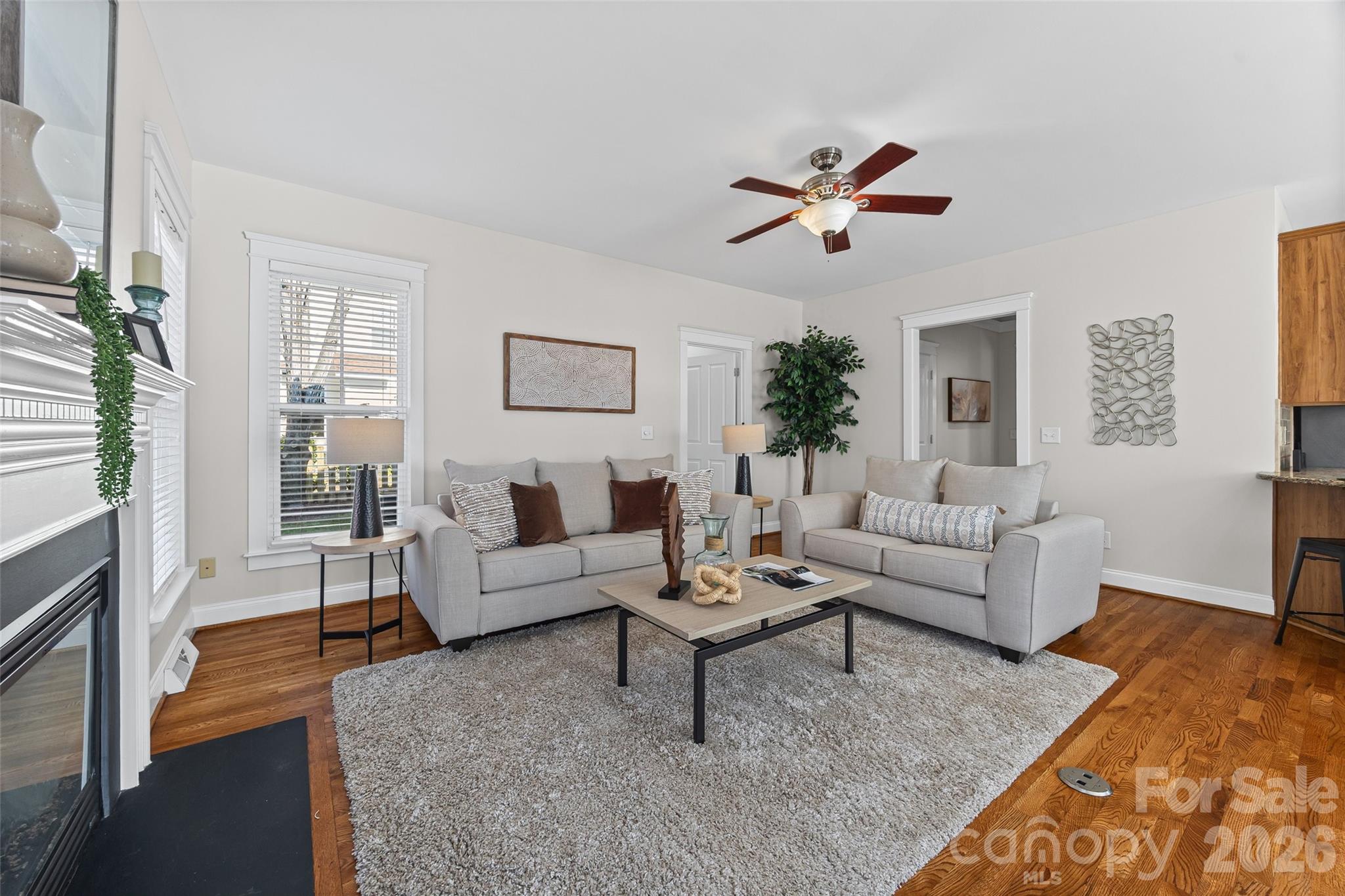 1039 Hunters Run Drive, Tega Cay, SC - photo 8 of 38