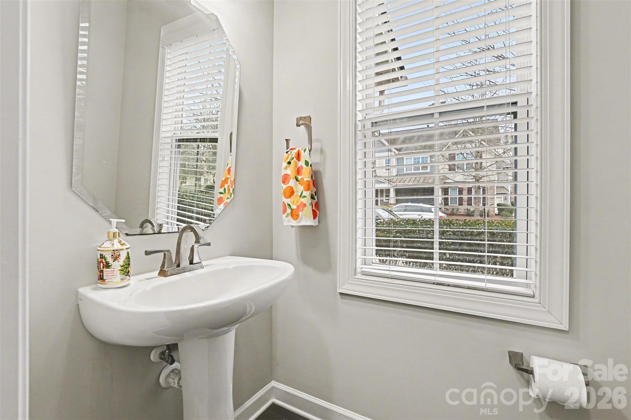 Photo 10 of 16125 Lost Canyon Way, Charlotte, NC