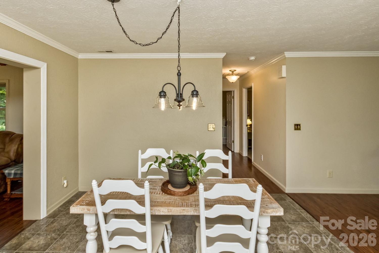 29 S Greenwood Forest Drive, Etowah, NC - photo 9 of 45