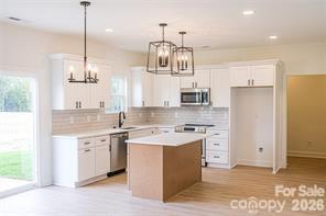 3045 Swallowtail Lane, Kannapolis, NC - photo 8 of 28