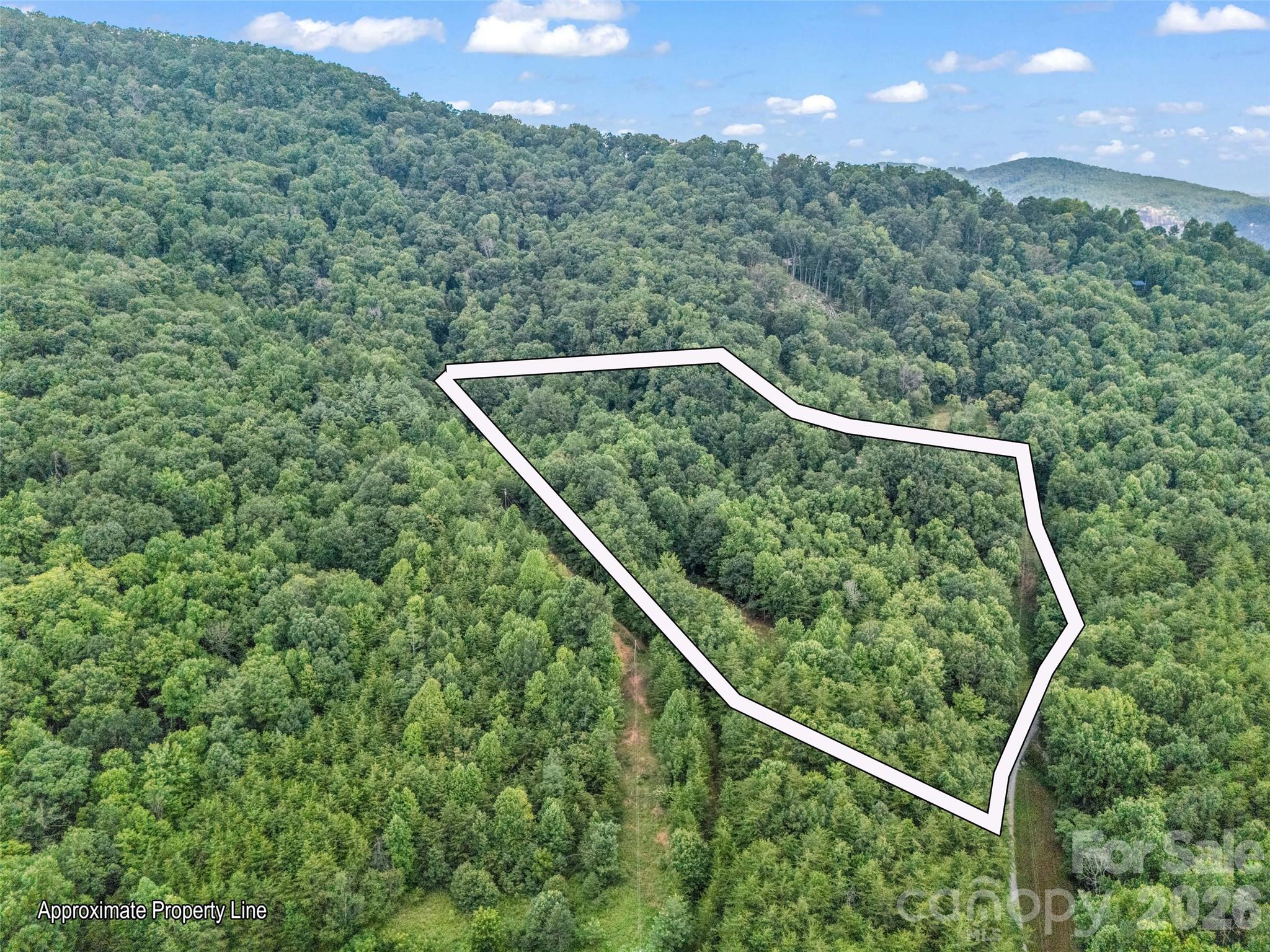 479 Camp Hill Road, Mill Spring, NC - photo 42 of 49