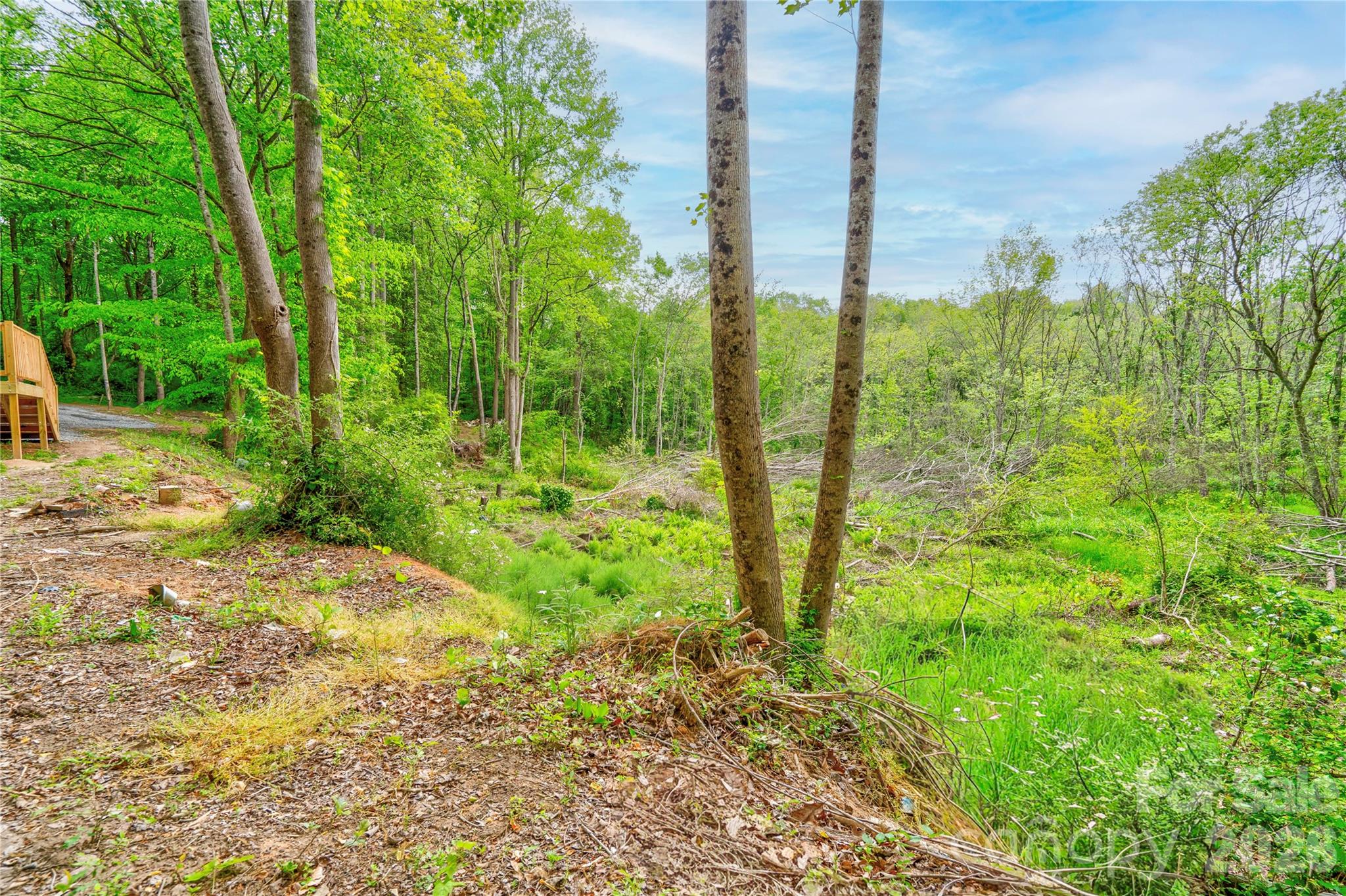 141 Knob Creek Drive, Lawndale, NC - photo 30 of 35