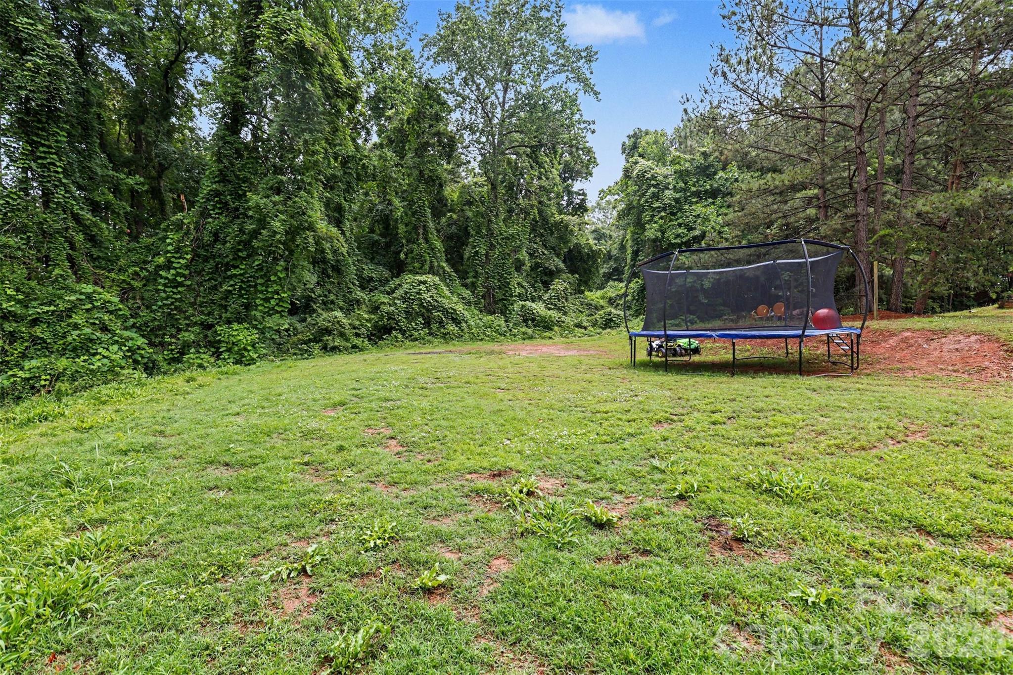 184 Canal Road, Belmont, NC - photo 12 of 39